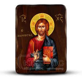 Orthodox Icon Jesus Christ the Lifegiver
